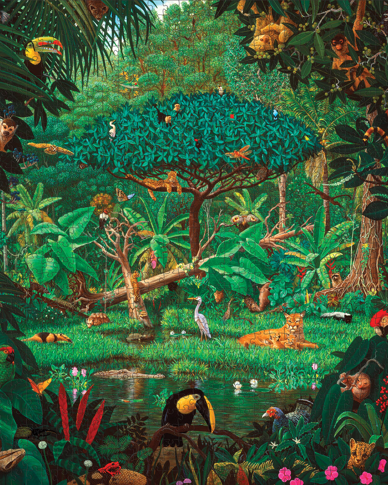 Secrets of the Rainforest – Fairplay Puzzles