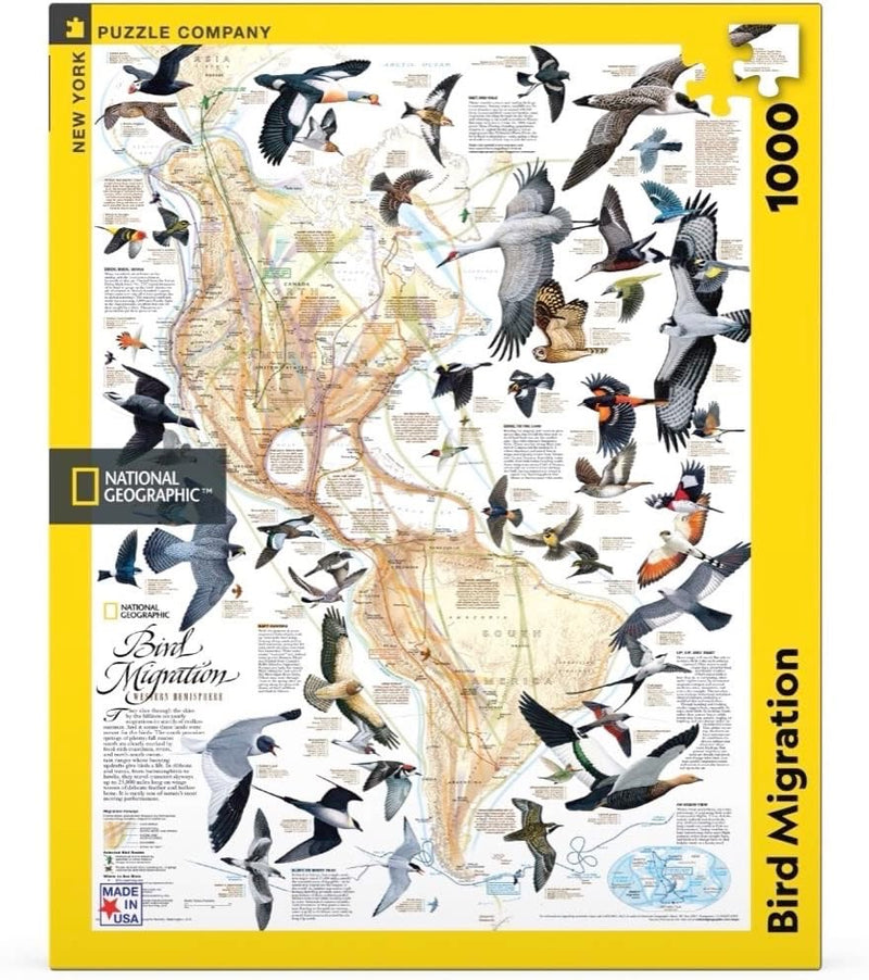 Bird Migration – Fairplay Puzzles